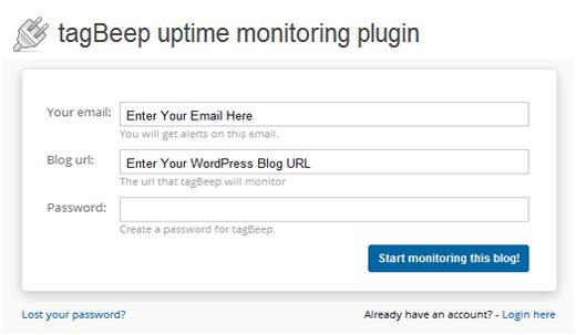 How To Monitor Server Uptime In Wordpress Check More At How To