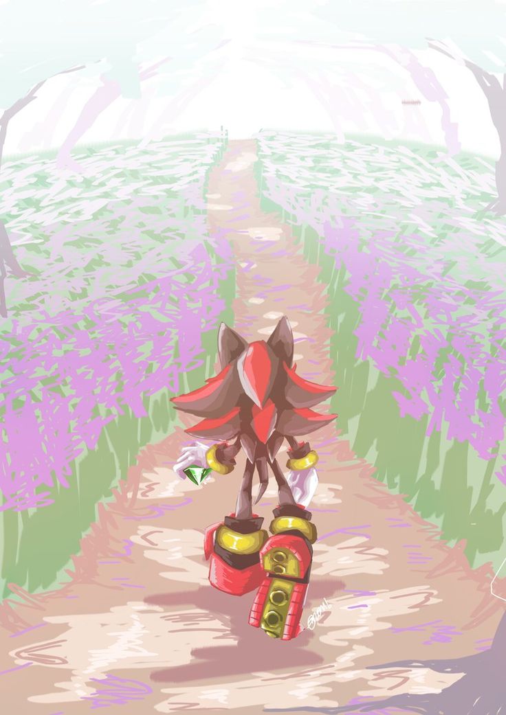 Sir Lance On Twitter Arte Erizo Sonic Shadow El Erizo