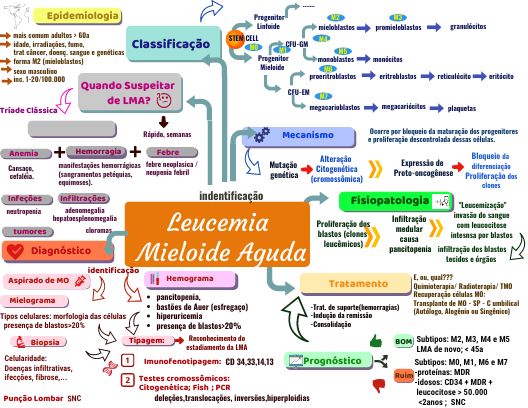 Light Biodiversity Biology Concept Map | Concept map, Biology, Biodiversity Light Biodiversity Biology Concept Map | Concept map, Biology, Biodiversity
