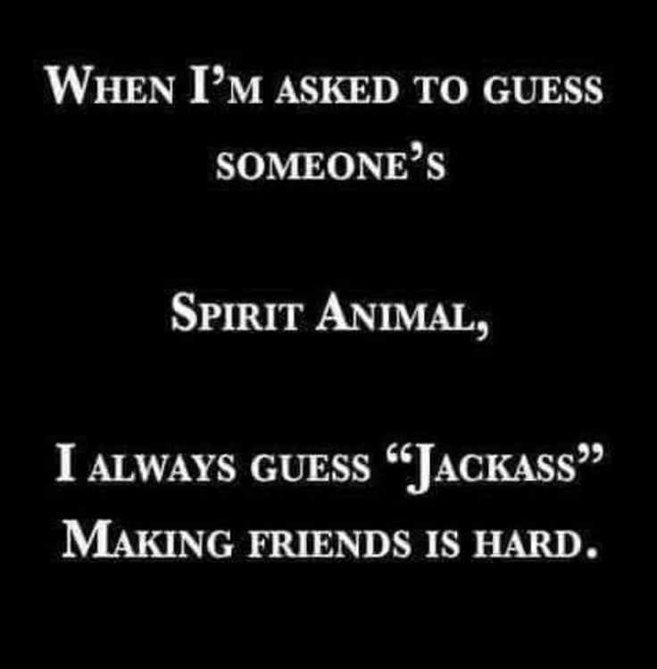 Pin By Cause For Creation On Funny Stuff Sarcastic Quotes Funny Work Quotes Funny Funny