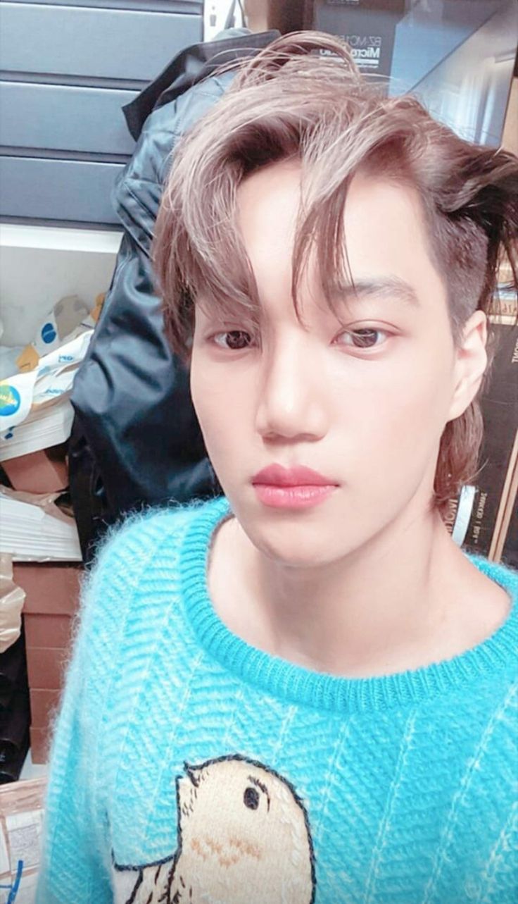 Exo Kai Kim