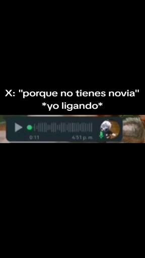 Pin De Sabito ☠️tieso☠️ En Xd Video En 2024 Fotos Para Reir Chistes Graciosos Imágenes