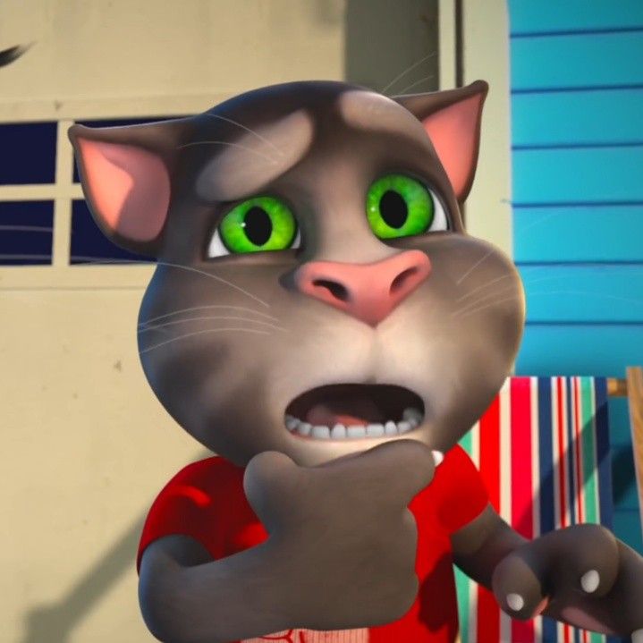 Talking Tom Talking Tom Toms Hero