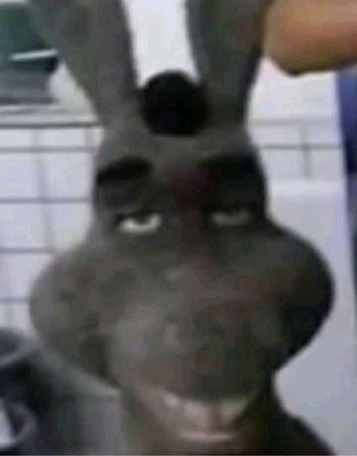 Burro Do Shrek Burro Do Shrek Fotos Engraçadas Para Perfil Imagens De Piadas Engraçadas