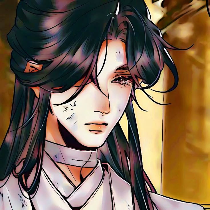 Xie Lian ꒱ Heavens Official Blessing Handsome Anime Guys Profile Picture