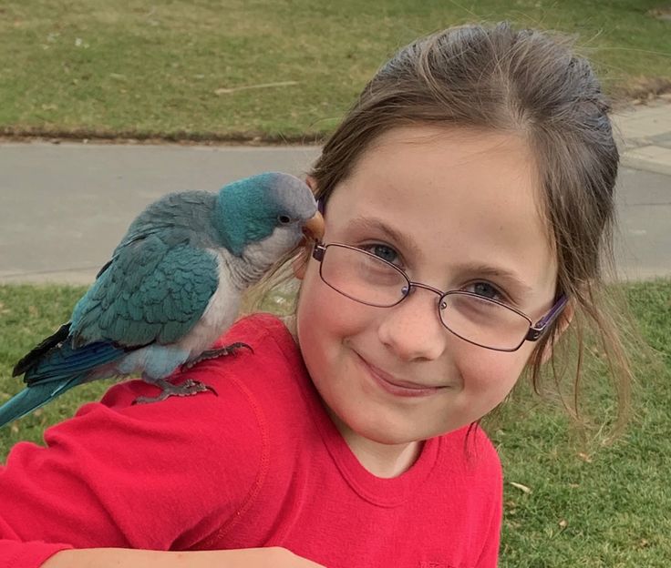 「quaker Parrots」おしゃれまとめの人気アイデア|pinterest|melissa