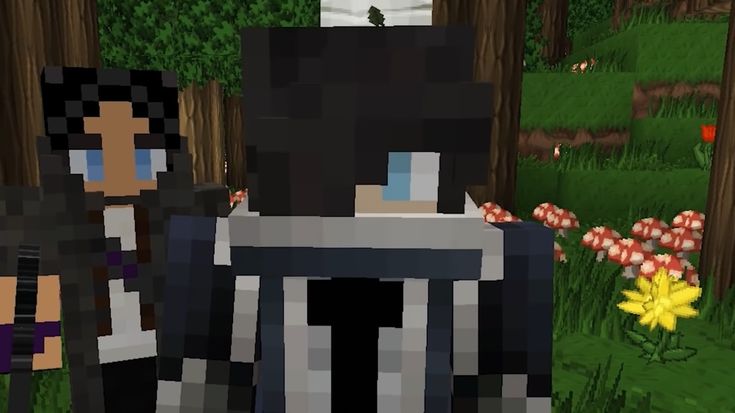 Pin On Zane Zane Romeave Aphmau Characters Zane