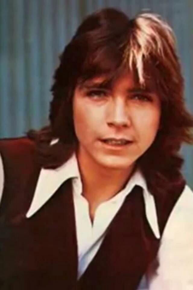 David Cassidy David Cassidy Favorite Celebrities Heartthrob