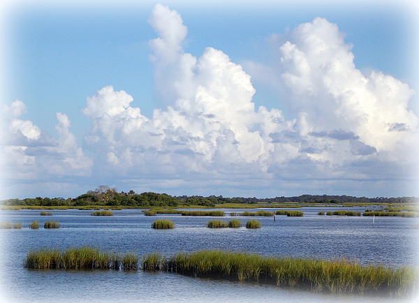 Gulf Coast Saltwater Grass View By Sheri Mcleroy Photography Prints Art Florida Art Photo Art