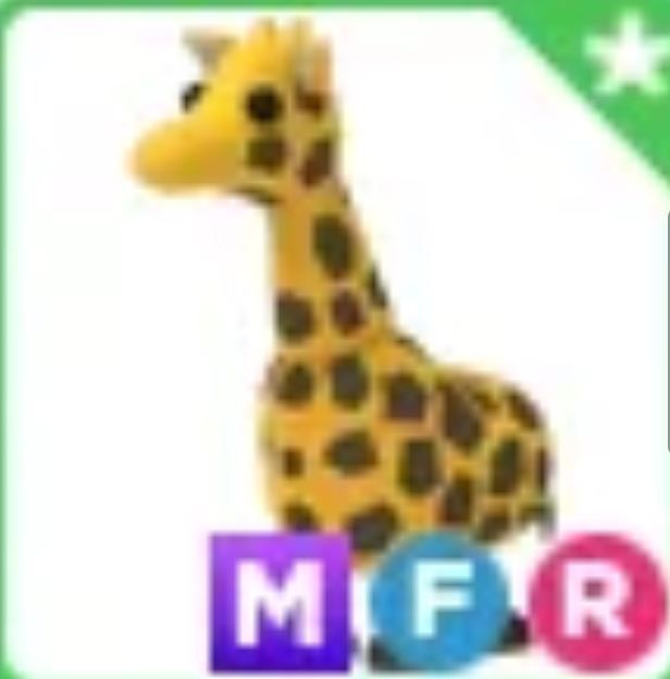 a giraffe with the word mr and mrs on it a giraffe with the word mr and mrs on it