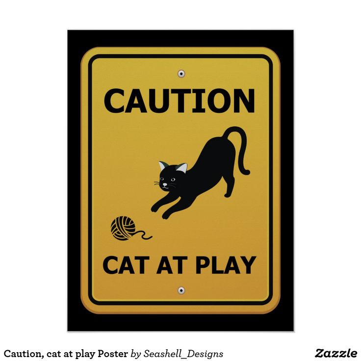 Caution Cat At Play Sign Poster Great Ts For Cat Lovers We Also
