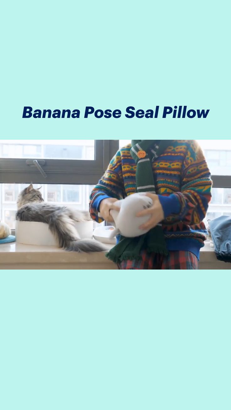 Banana Pose Seal Pillow Pinterest