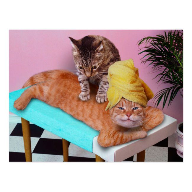 Cat Massaging Cat Cat Lying Down Postcard Zazzle Cat Massage Cats And Kittens Funny Cats