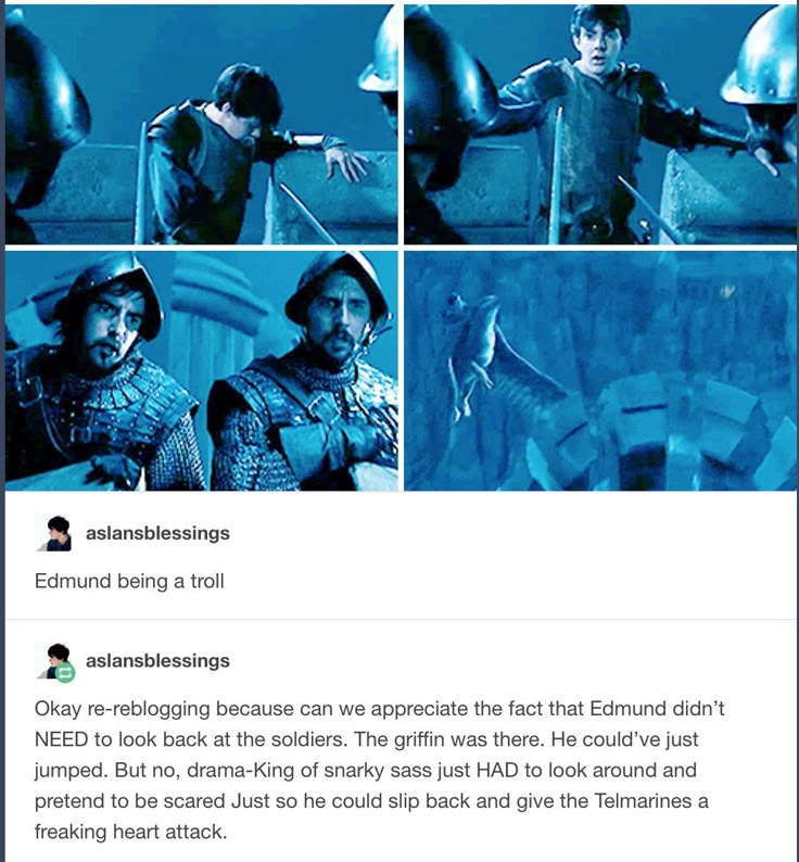 Chronicles Of Narnia Narnia Narnia 3
