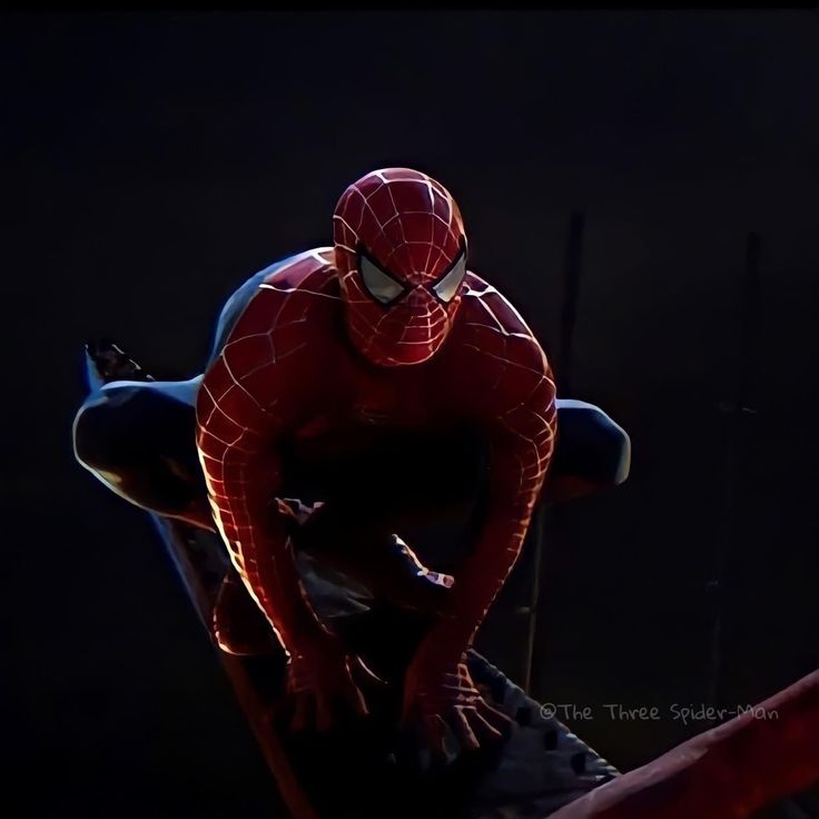 Tobey Maguire Nwh Spiderman Marvel Spiderman Spiderman Comic