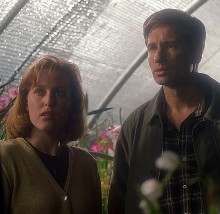 Pin By Darcy π³οΈβπ On I Still Love The X Files X Files Mulder Scully