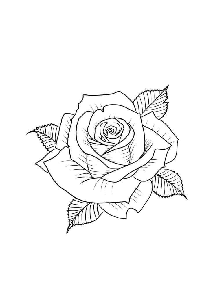 Pin By Paulina Del Rosario On Hermosas Flores Rose Tattoo Stencil Tattoo Design Book Rose