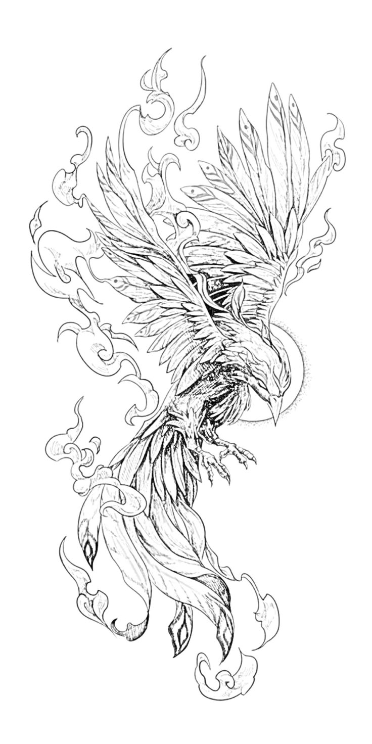 Pin By Янис On Tattoo Phoenix Tattoo Design Tattoo Design Drawings