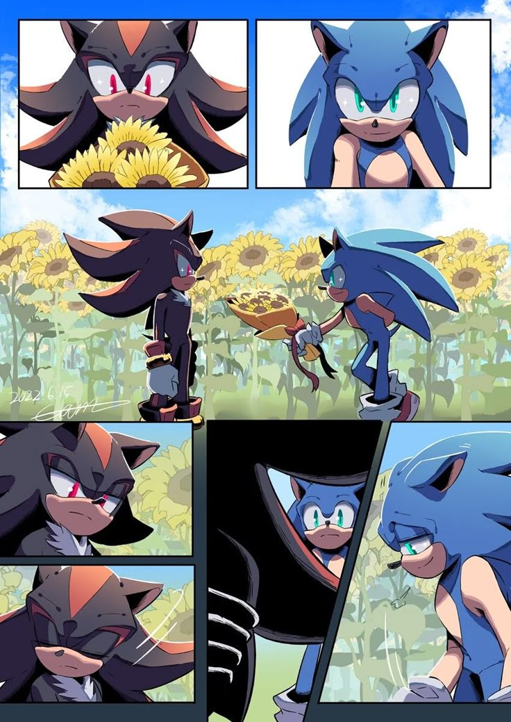 Sonic And Shadow Fan Art