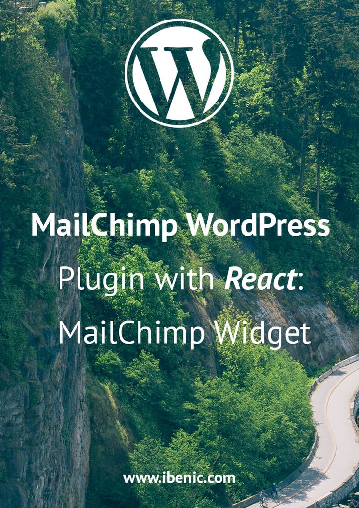 Mailchimp Wordpress Plugin With React Mailchimp Widget Igor Benić