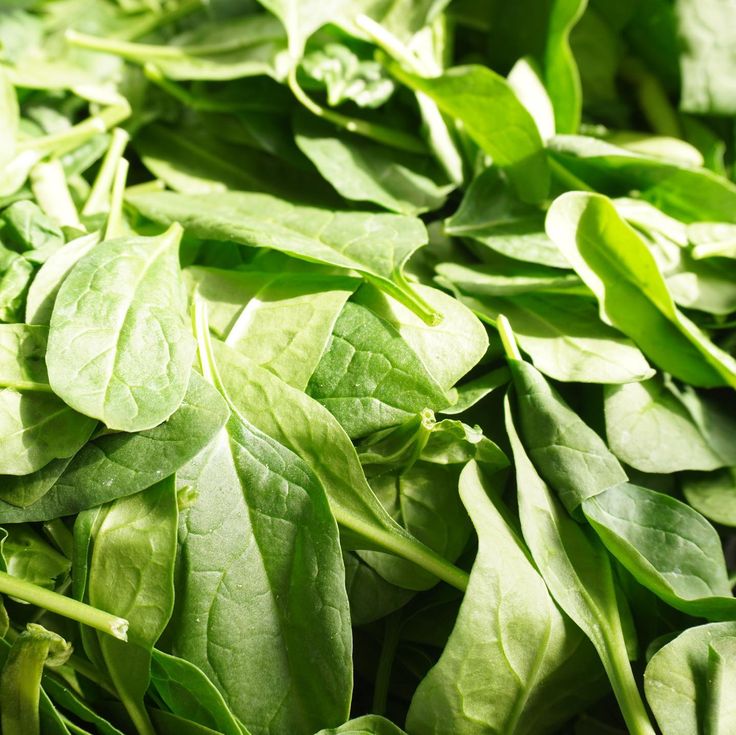 πspinach Green Crispy Fresh Nutritious And Versatile We Tried A