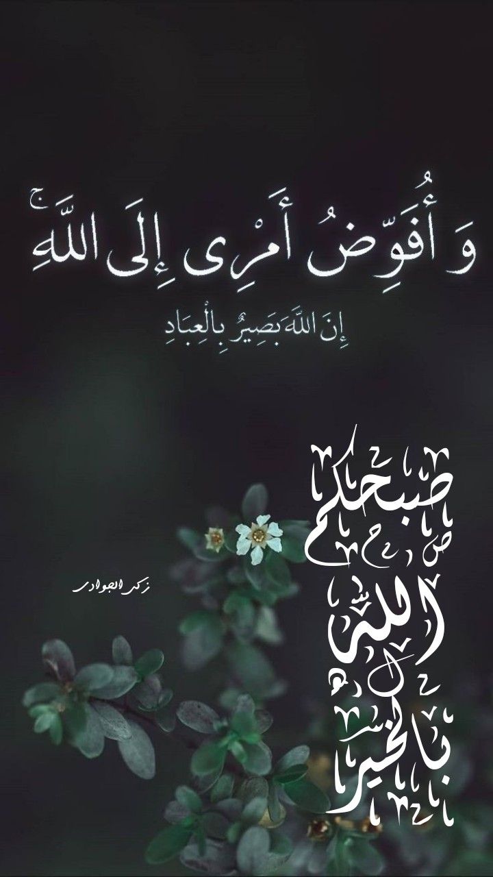 「خلفية هاتف」おしゃれまとめの人気アイデア|pinterest|haneef Omar