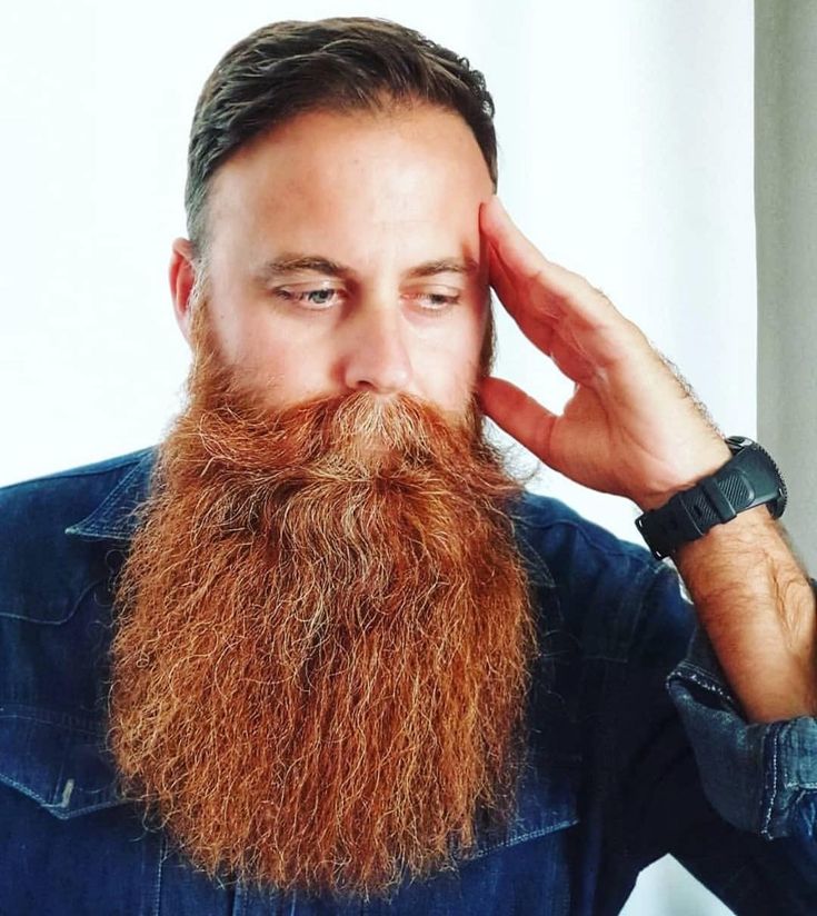 Beardy Bloke | Long beard styles, Beard styles for men, Beard styles Beardy Bloke | Long beard styles, Beard styles for men, Beard styles