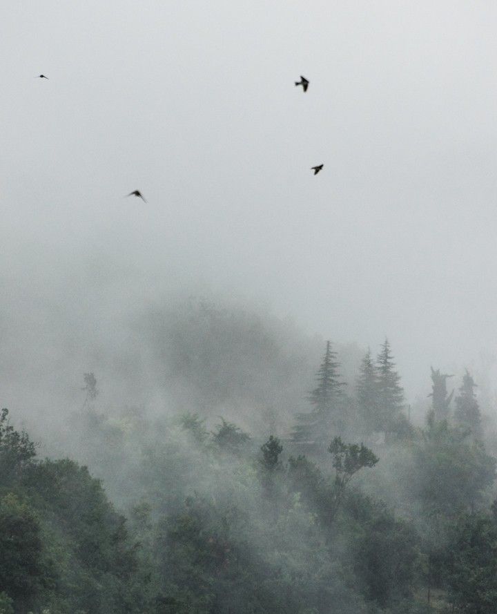 It's been feeling kind of foggy and confusing. I haven't been feeling ... It's been feeling kind of foggy and confusing. I haven't been feeling ...