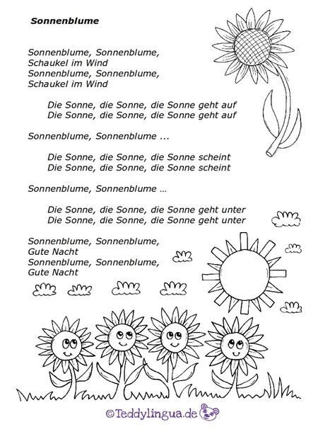 Sonnenblume … | Lieder, Sonnenblumen, Vorschullieder Sonnenblume … | Lieder, Sonnenblumen, Vorschullieder