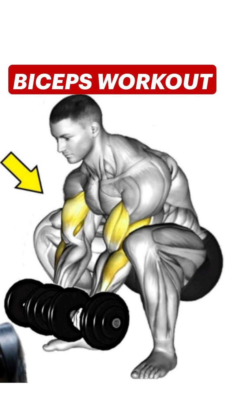 Biceps Workout Biceps Workout Big Biceps Workout Abs Workout Gym