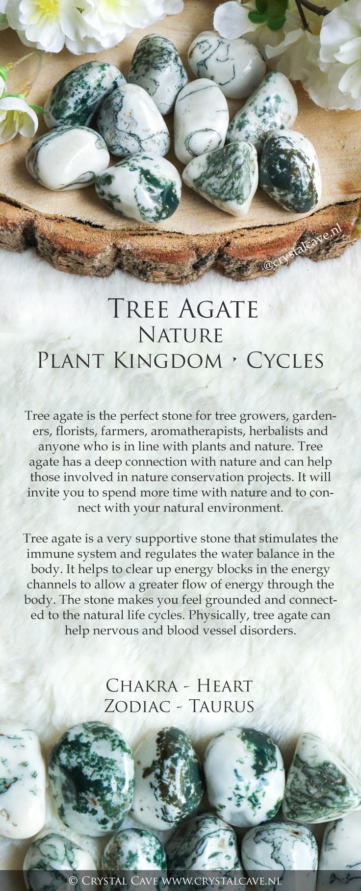 Tree agate stone benefits store