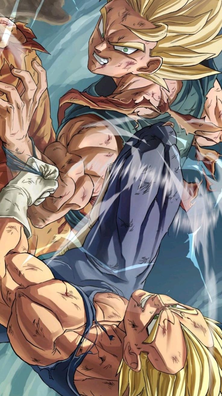 Dragon Ball Goku Vegeta Piccolo Gohan Beerus Trunk Goten
