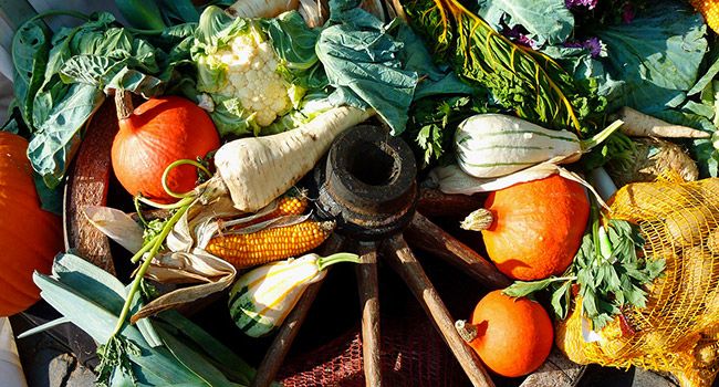 Cottura al vapore: 10 consigli pratici per sfruttarla al meglio | Repas ... Cottura al vapore: 10 consigli pratici per sfruttarla al meglio | Repas ...