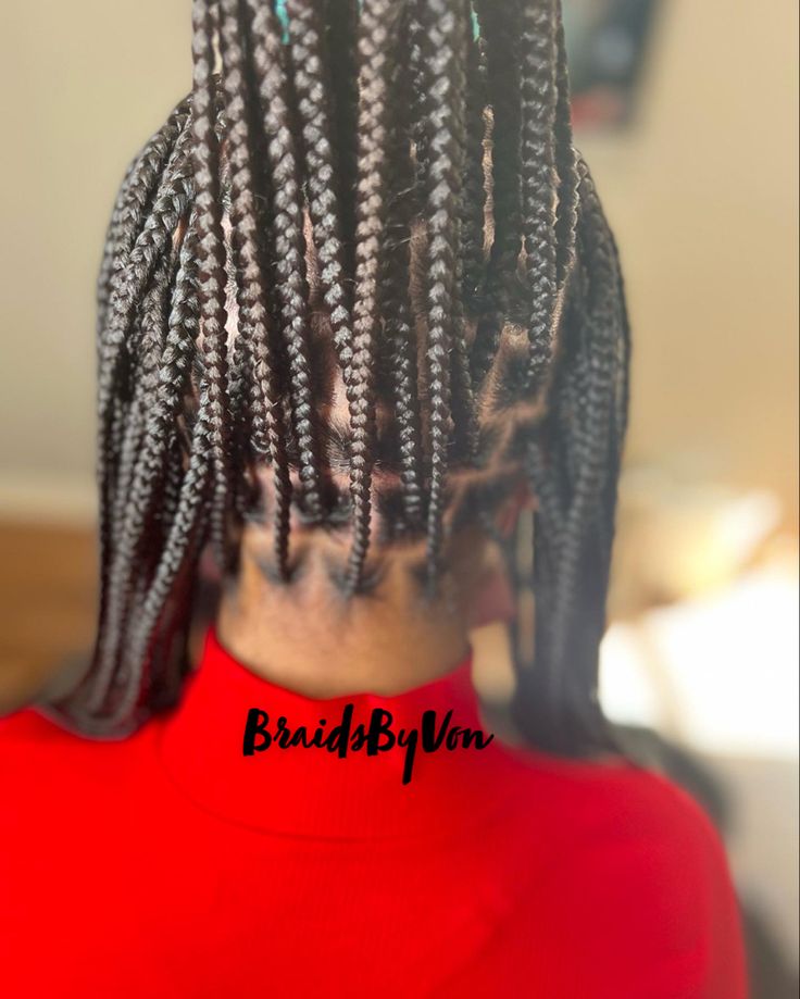 Smedium knotless braids styles Smedium knotless braids styles