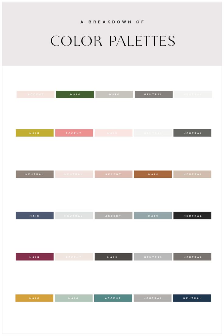 Create Your Brand Color Palette Using Color Theory Saffron Avenue