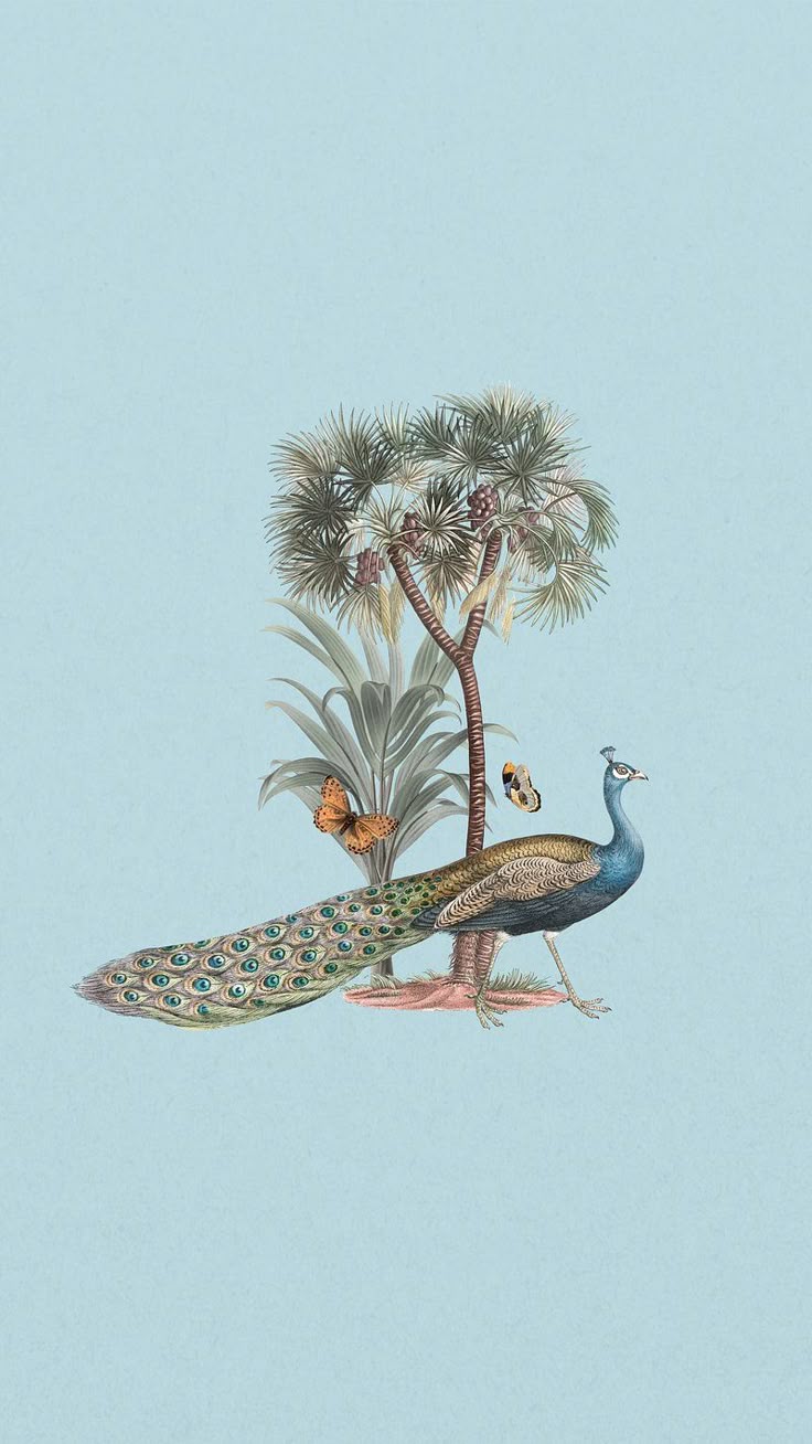 Tropical Peacock Pattern Mobile Wallpaper Premium Photo Illustration