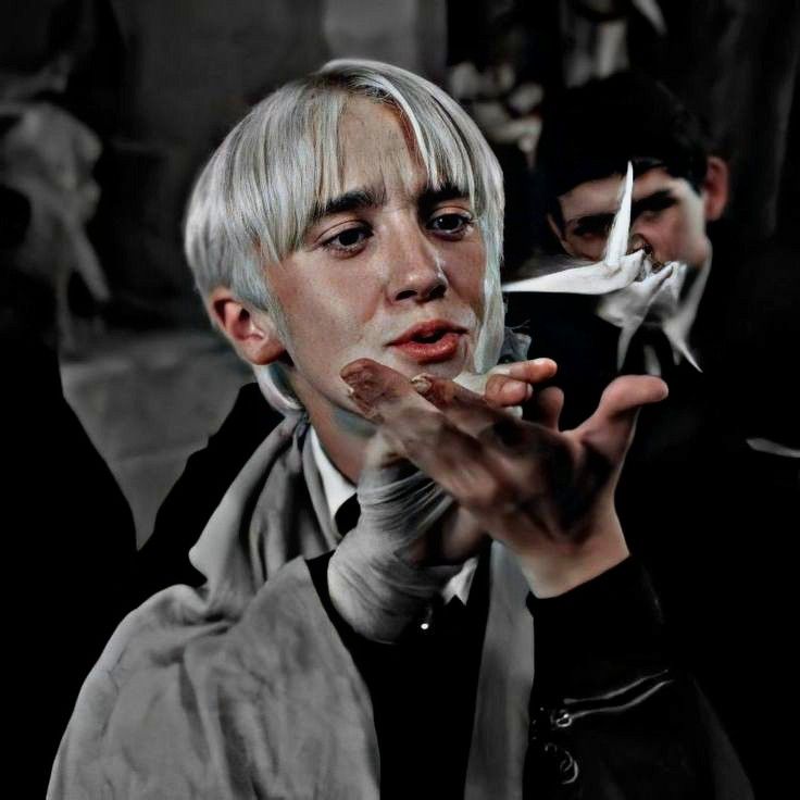 Draco Malfoy Draco Malfoy Harry Potter Fictional Characters