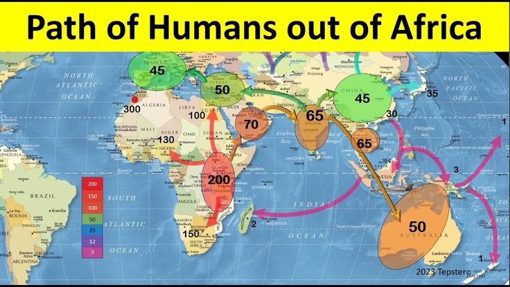 Map of Human Migration out of Africa | Human migration, Out of africa ... Map of Human Migration out of Africa | Human migration, Out of africa ...