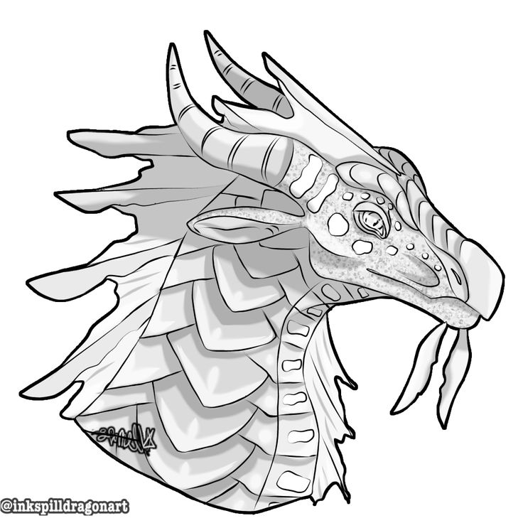 FTU Seawing Head Base | Wings of Fire FTU Seawing Head Base | Wings of Fire