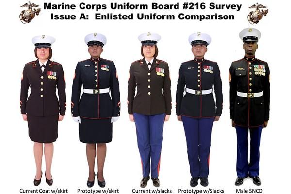 This Image Taken From An Online Survey Conducted By The Marine Corps