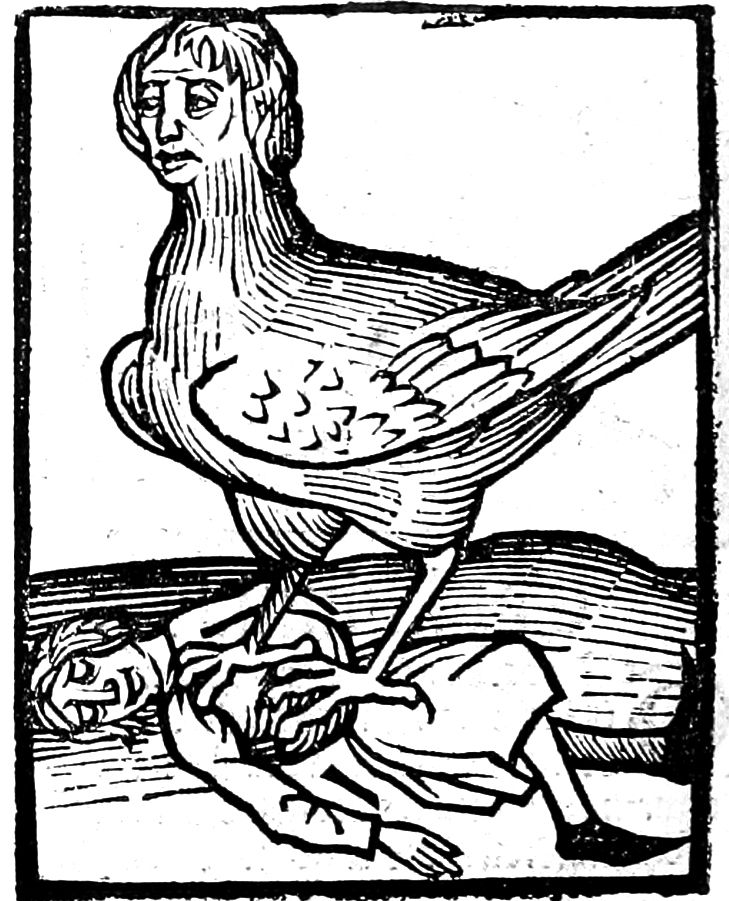 Medieval Woodcuts For Every Occasion • Pomegranate Magazine Medieval Drawings Woodcut Art