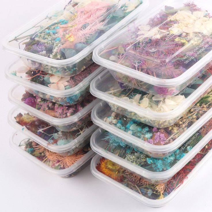1box Dried Flower Dry Plants For Aromatherapy Candle Epoxy Resin Pendant Necklace Jewelry Making