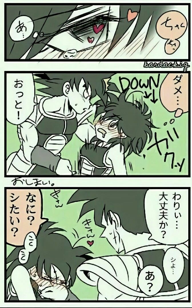 Bardock X Gine Kissing 悟チチ ドラゴンボール イラスト ドラゴンボール