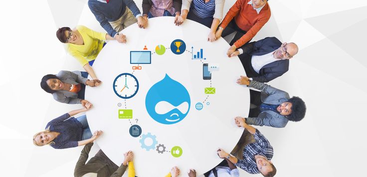 Human Resource Management Portal Built On Drupal Case