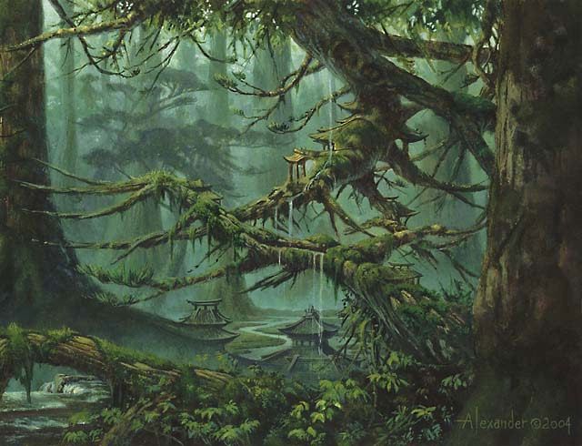 Hail To You Champion Fantasy Art Landscapes Mtg Art Forest Art