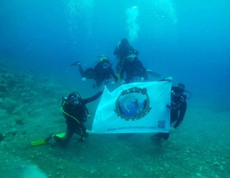 Nemo Dive Team Flag Nemo Dive Team Flag