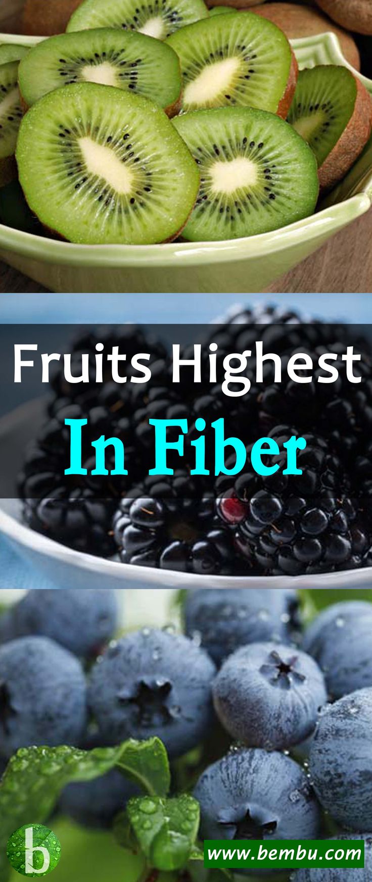 Top 11 Fruits Highest In Fiber High Fiber Fruits Fruit Health And Nutrition