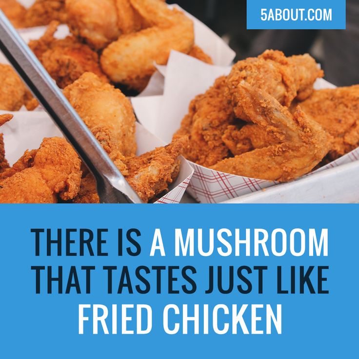 5about Mushrooms There Is A Mushroom That Tastes Just Like Fried