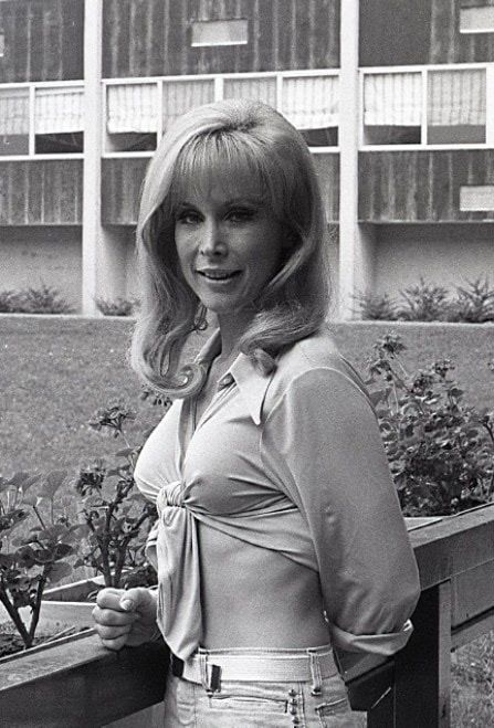 Pin By Palloma Xavier On Barbara Eden Barbara Eden Braless Babes I Dream Of Jeannie