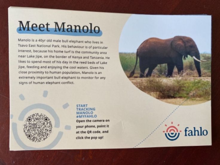 Manolo Elephant Fahlo QR Code | Bull elephant, Coding, Manolo Manolo Elephant Fahlo QR Code | Bull elephant, Coding, Manolo